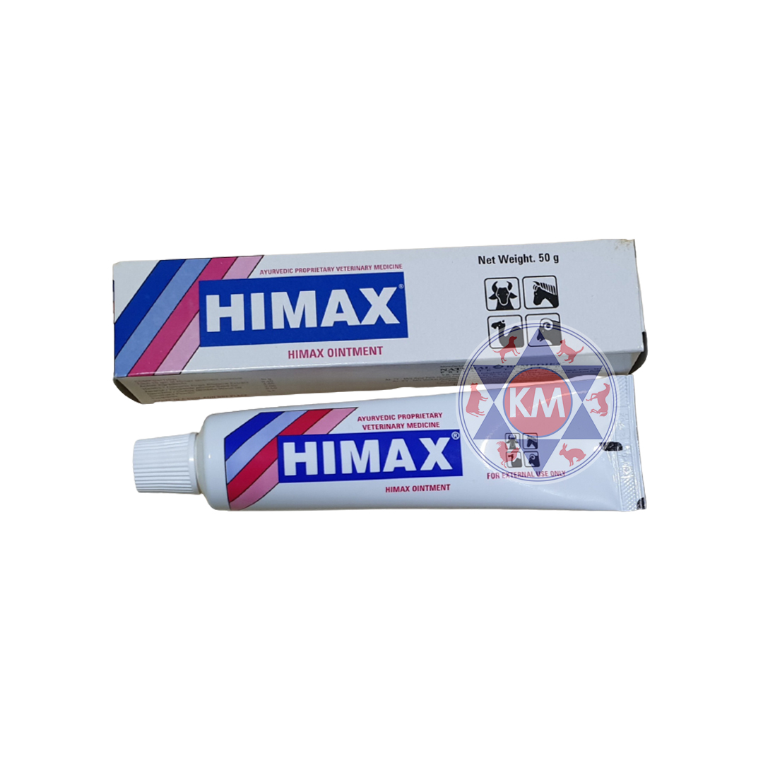 Himax Stock